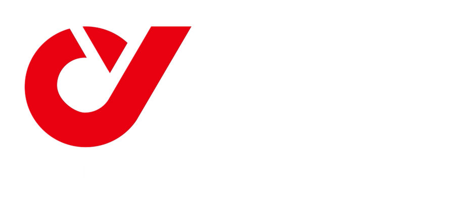 Electric Bikes in Australia: Lightweight & Affordable E-Bicycles – DYU ...